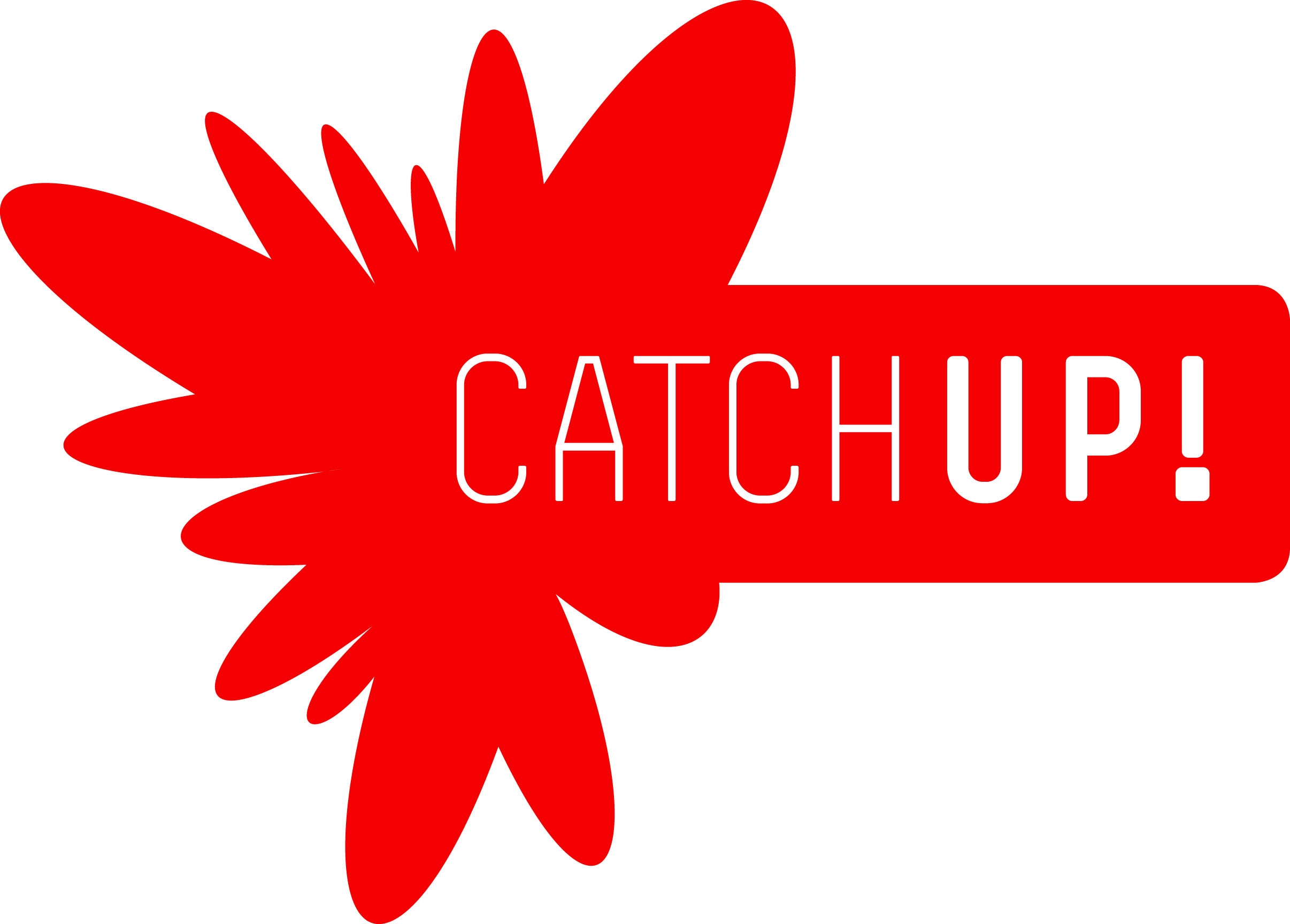 Catchup! Communciations AG – Einnahmenmodelle für Medien